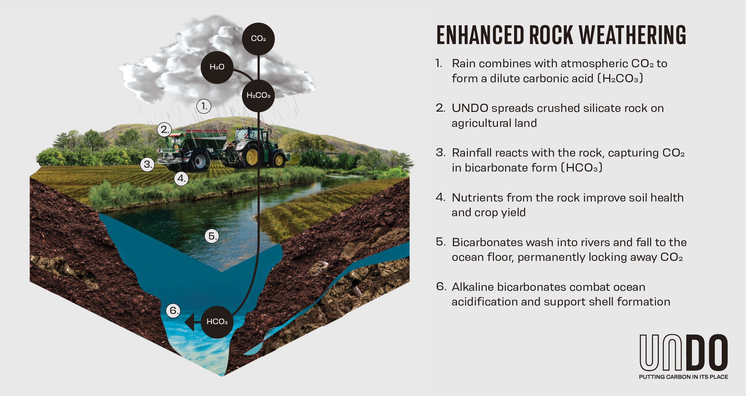 Carbon Removal Explained - UNDO Carbon