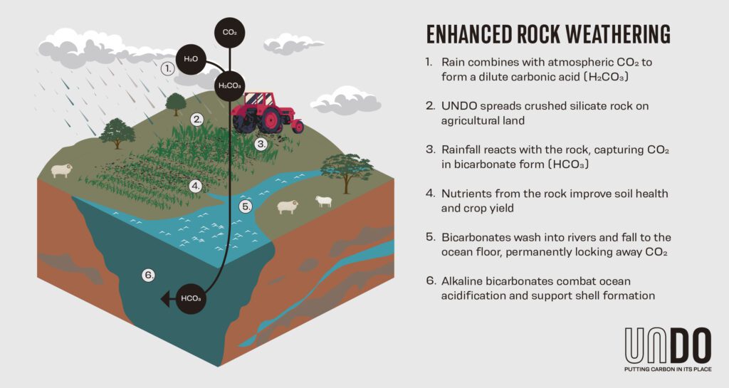 Understanding Enhanced Weathering - UNDO Carbon