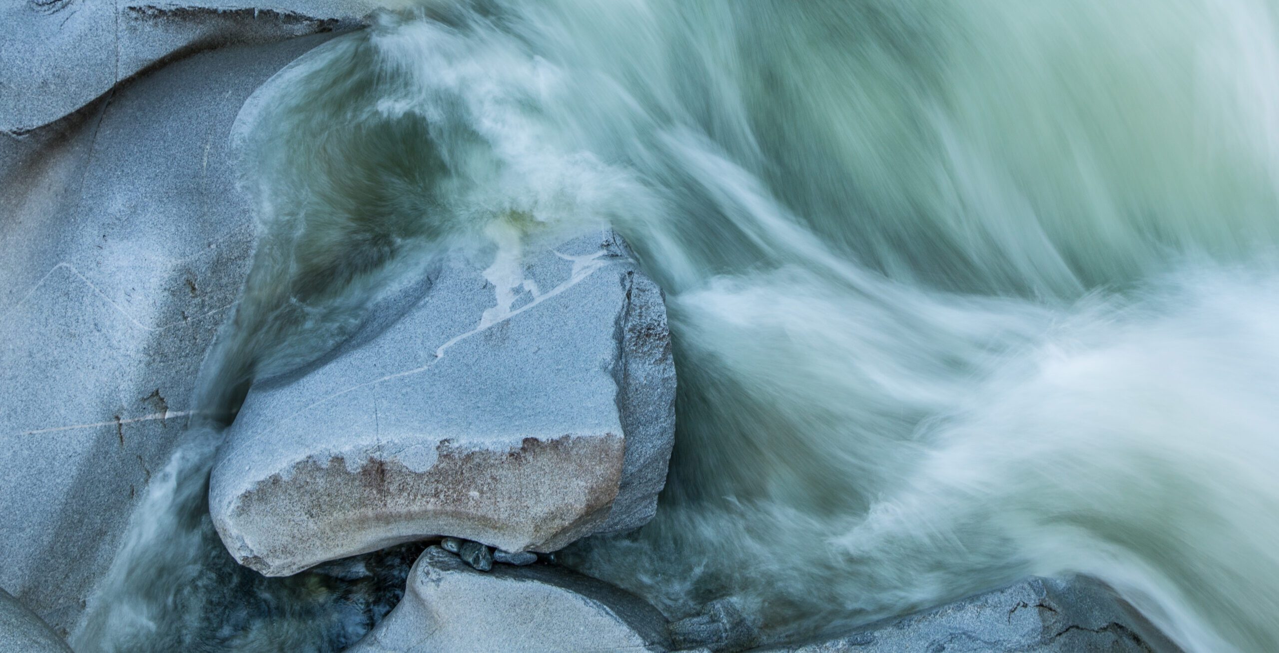 Permanent Carbon Removal for Businesses - UNDO Carbon