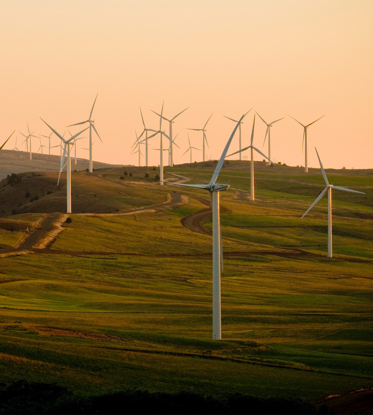 How To Become A Net Zero Company - UNDO Carbon