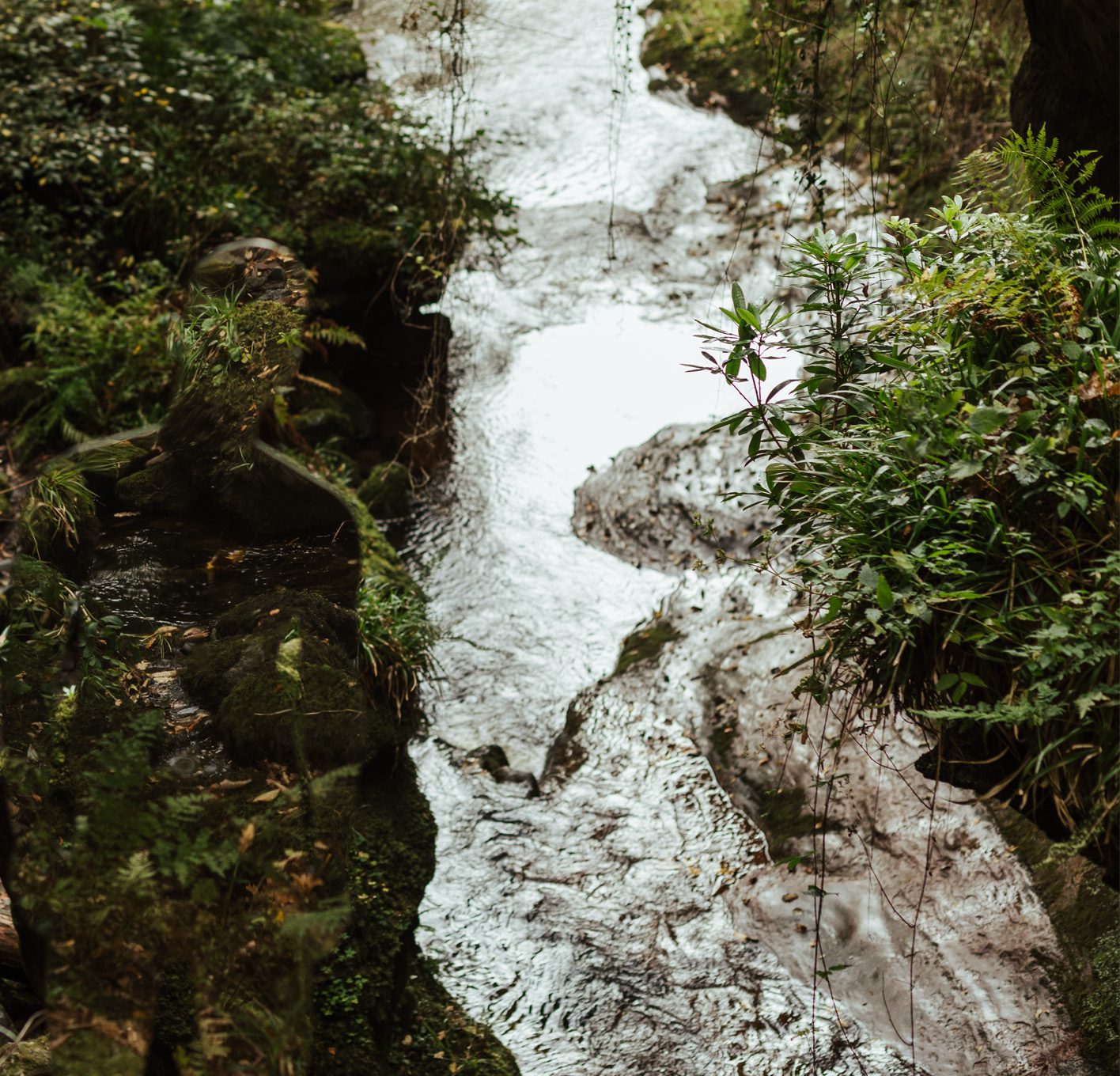 Our Partners - UNDO Carbon