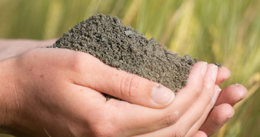 New Study Shows The Agronomic Benefits of Enhanced Rock Weathering ...