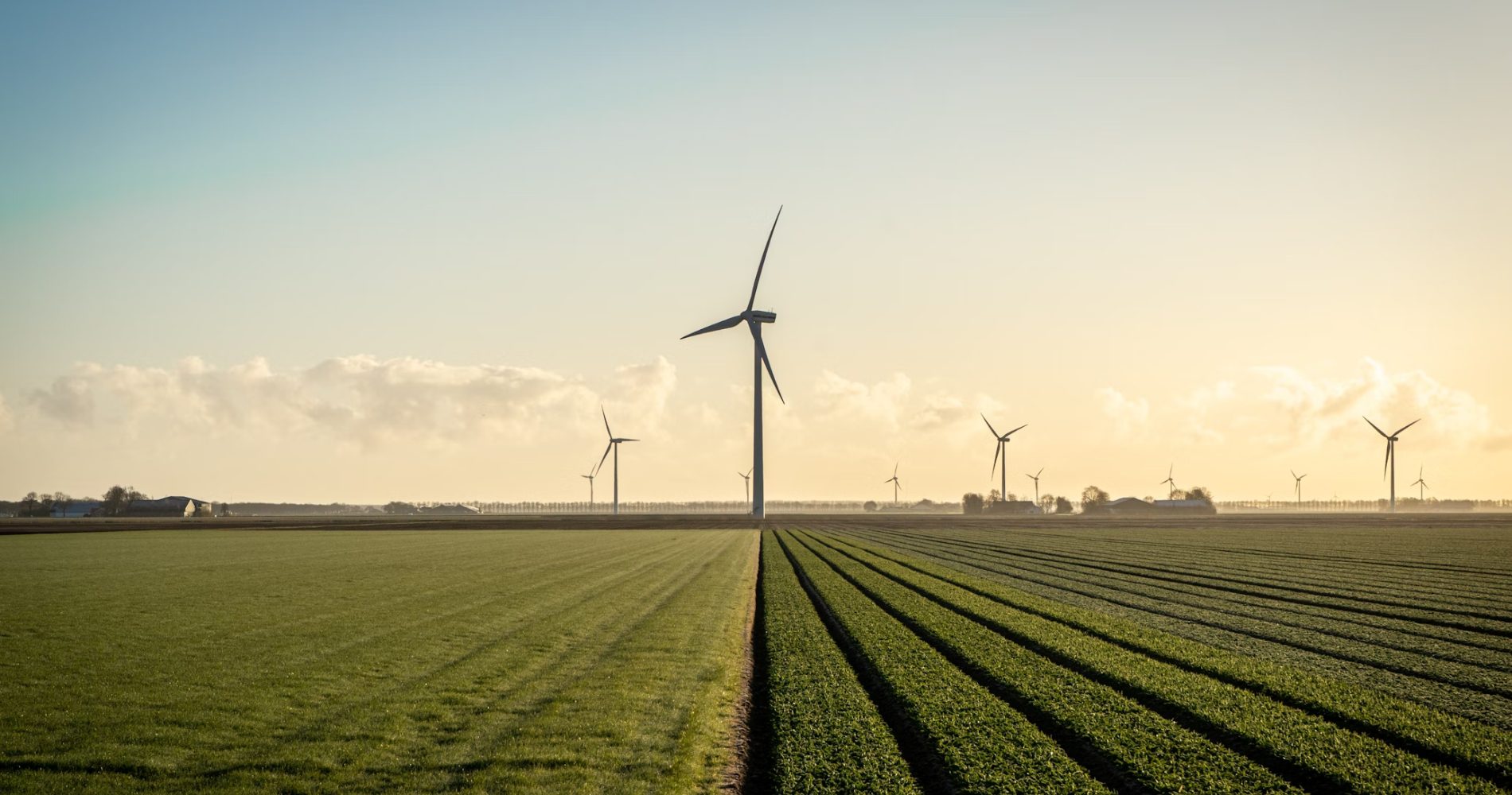 Explaining Carbon Avoidance vs. Carbon Removal - UNDO Carbon