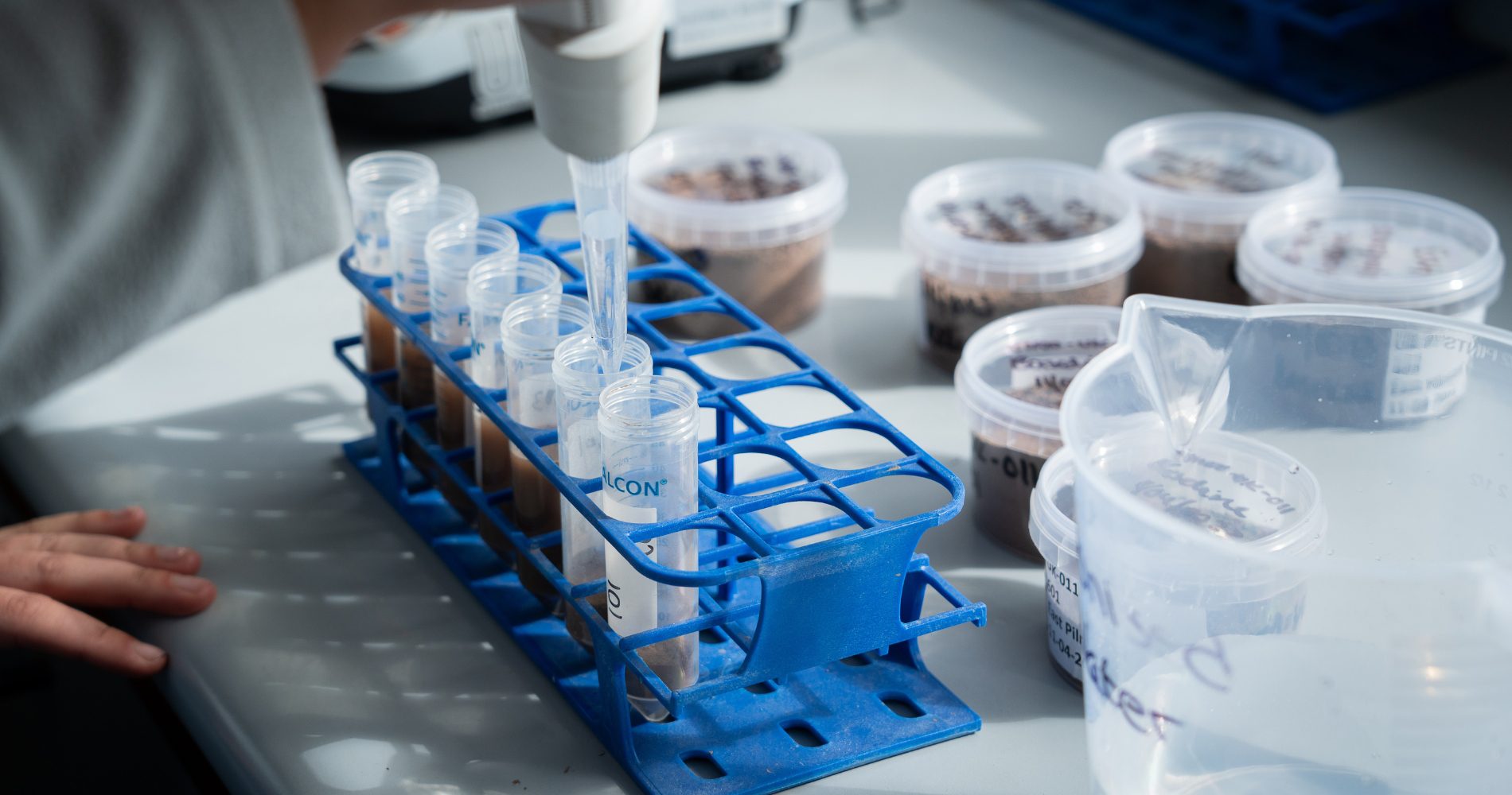 Explaining Carbon Avoidance vs. Carbon Removal - UNDO Carbon