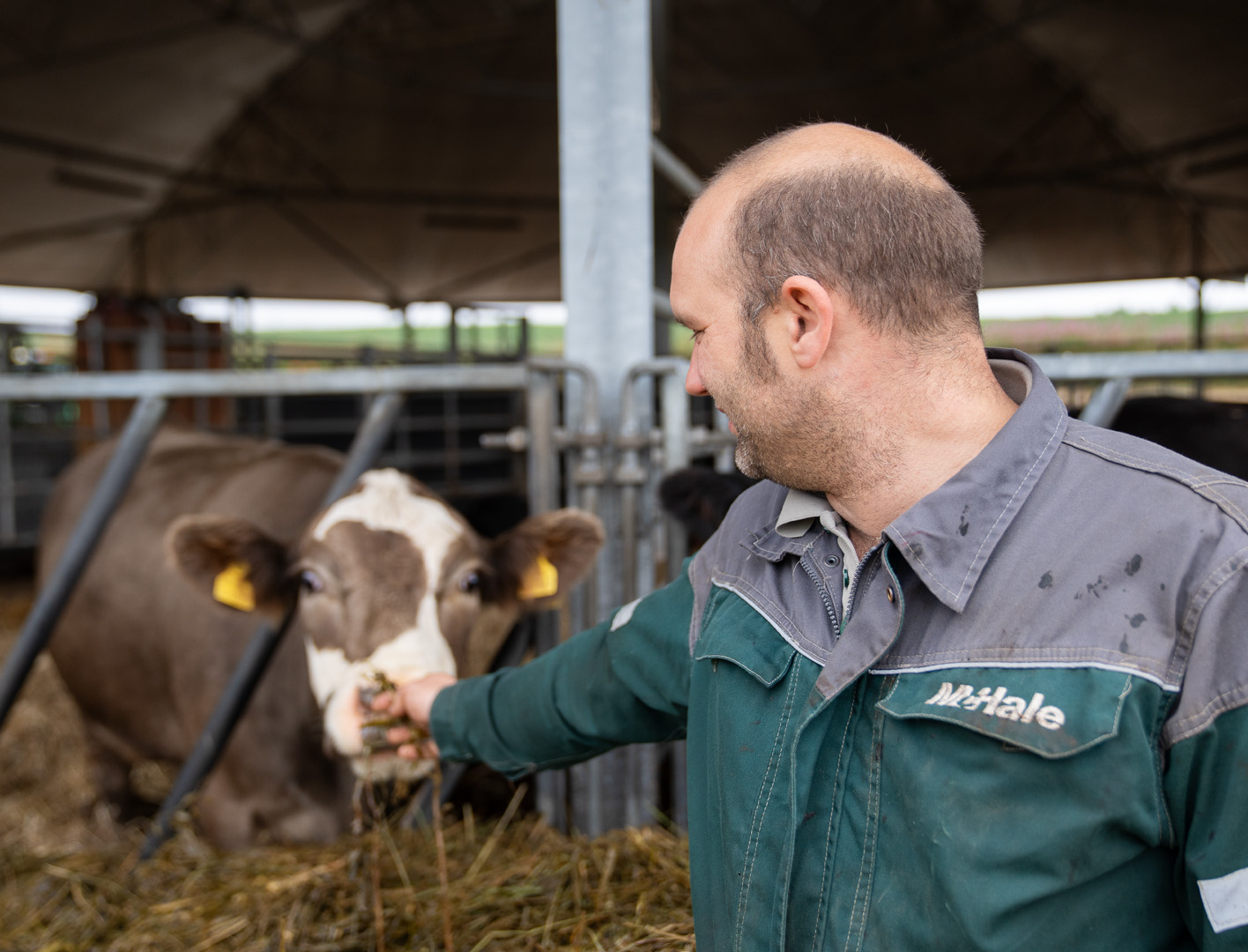 Our Technology: Enabling our Climate Solution - UNDO Carbon