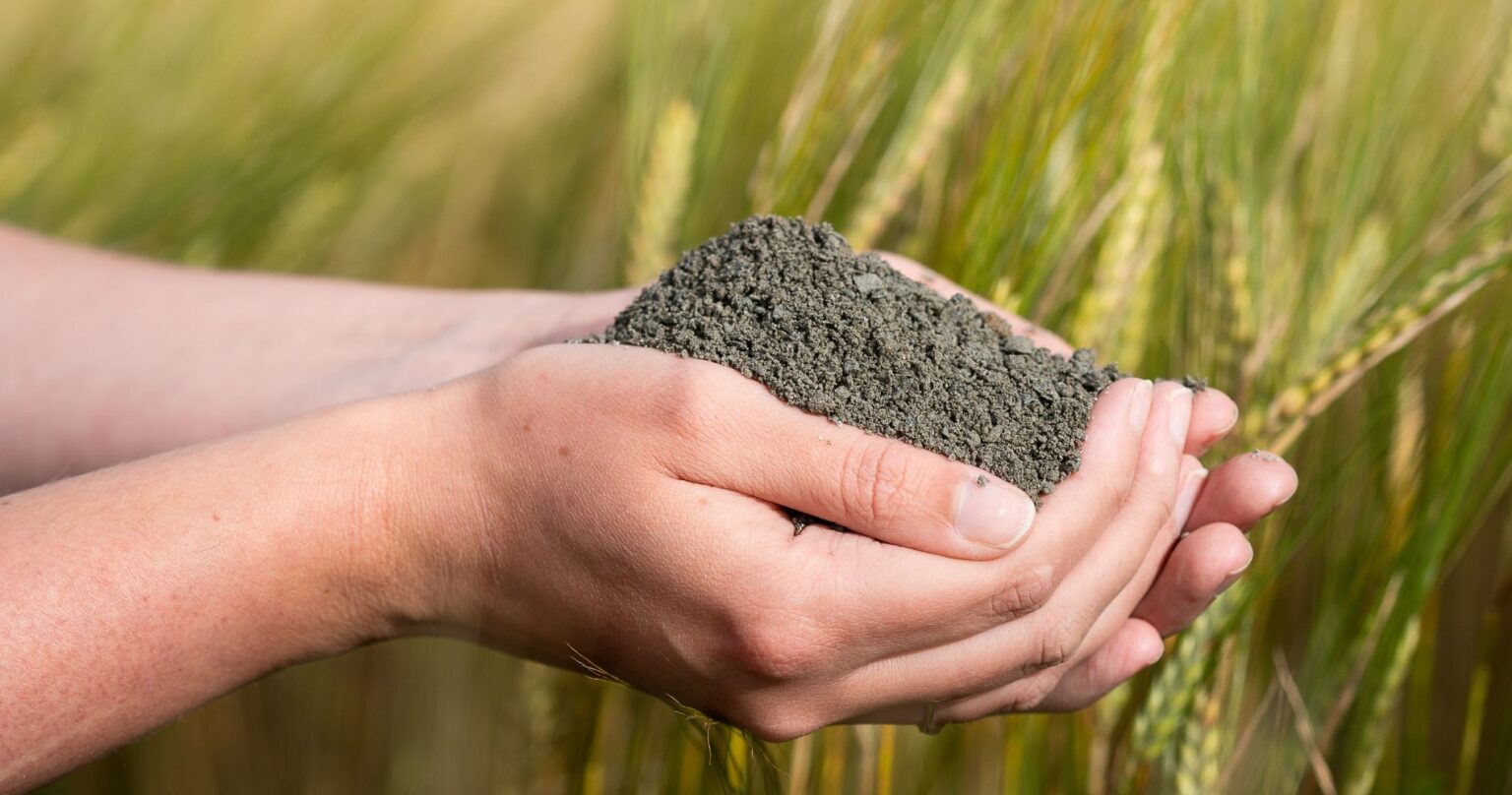 Understanding Additionality in Carbon Offsetting - UNDO Carbon