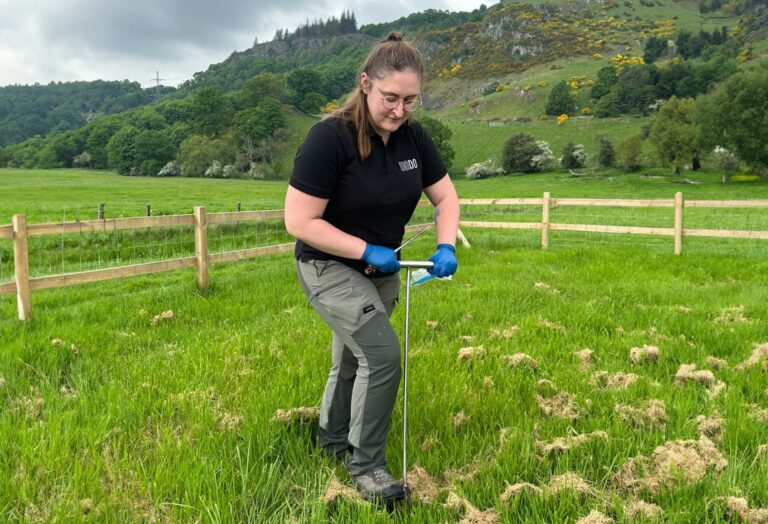 Achieving the Sustainable Development Goals Through Enhanced Rock ...