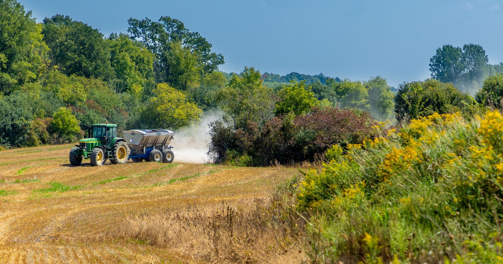 Carbon Markets: Unlocking Their True Potential to Combat Climate Change ...