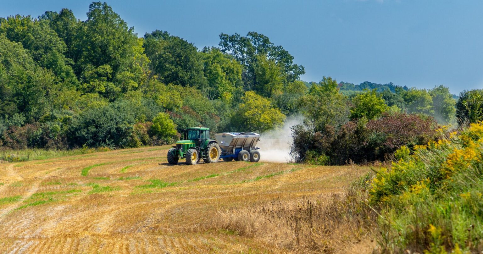 Understanding Carbon Offsetting vs. Carbon Insetting - UNDO Carbon