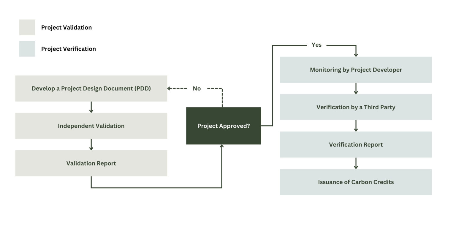 Ensuring Credibility: How Are Carbon Credits Verified? - UNDO Carbon