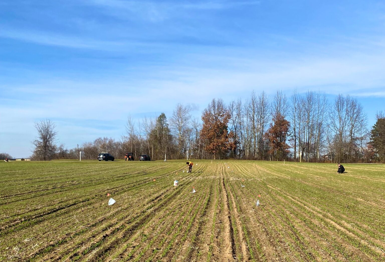 Our Technology: Enabling our Climate Solution - UNDO Carbon