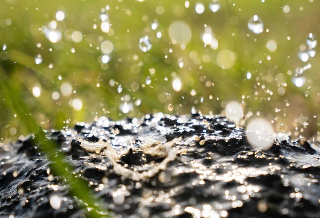 Ensuring Credibility: How Are Carbon Credits Verified? - UNDO Carbon